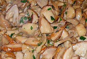 Salsa ai funghi - Terre Casentinesi